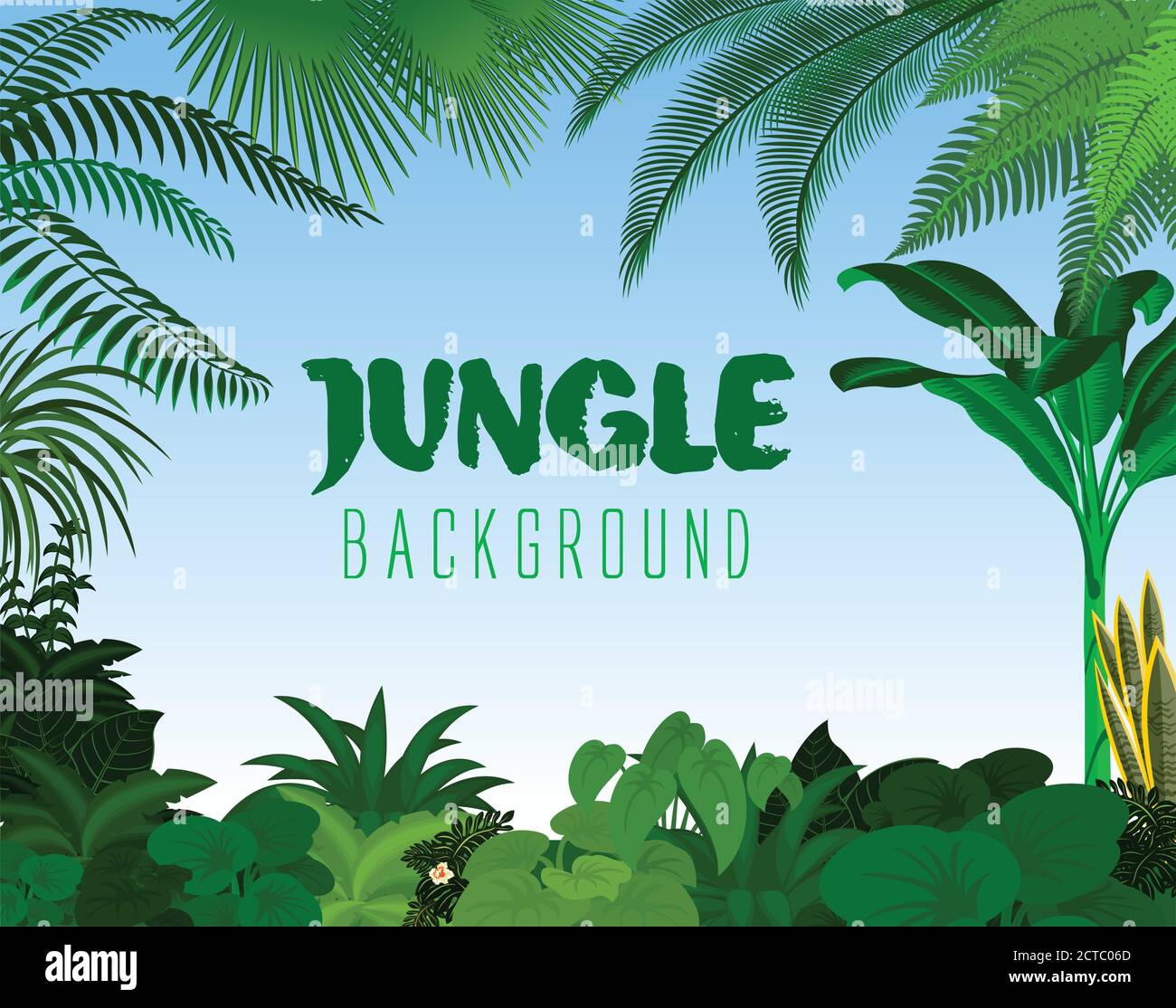 jungle rainforest background. Vector illustration Stock Vector Image ...