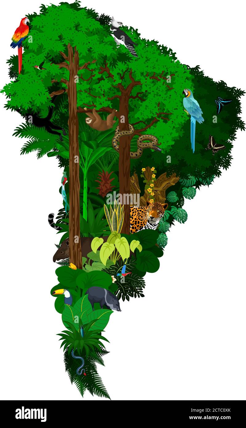 Map of brazil rainforest hi-res stock photography and images - Alamy