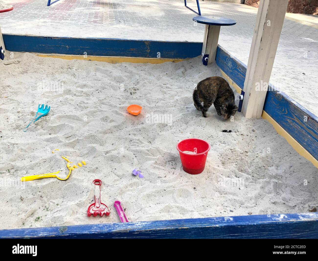 defecation of a cat on a children's sandbox Stock Photo - Alamy