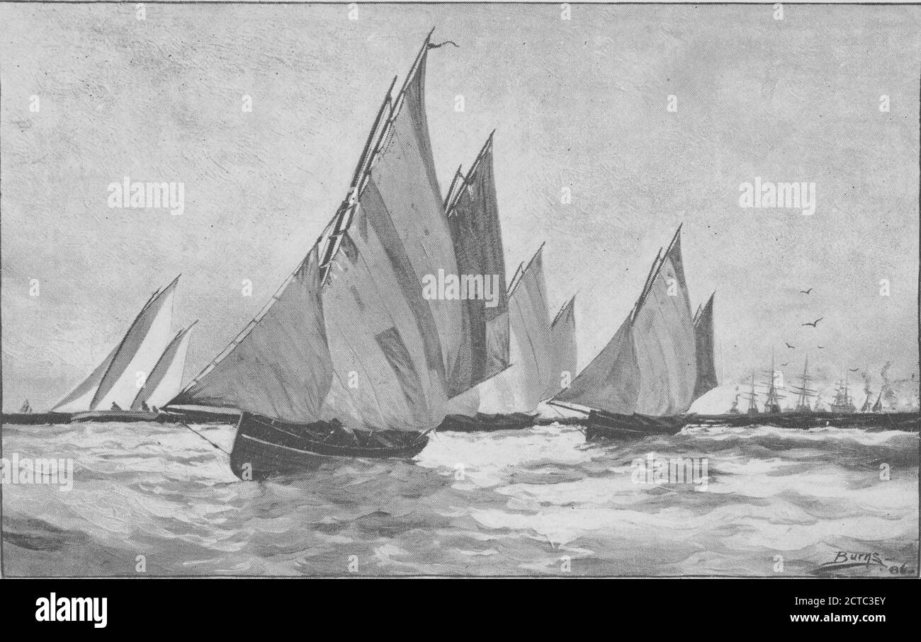 Flying fish fleet hi-res stock photography and images - Alamy