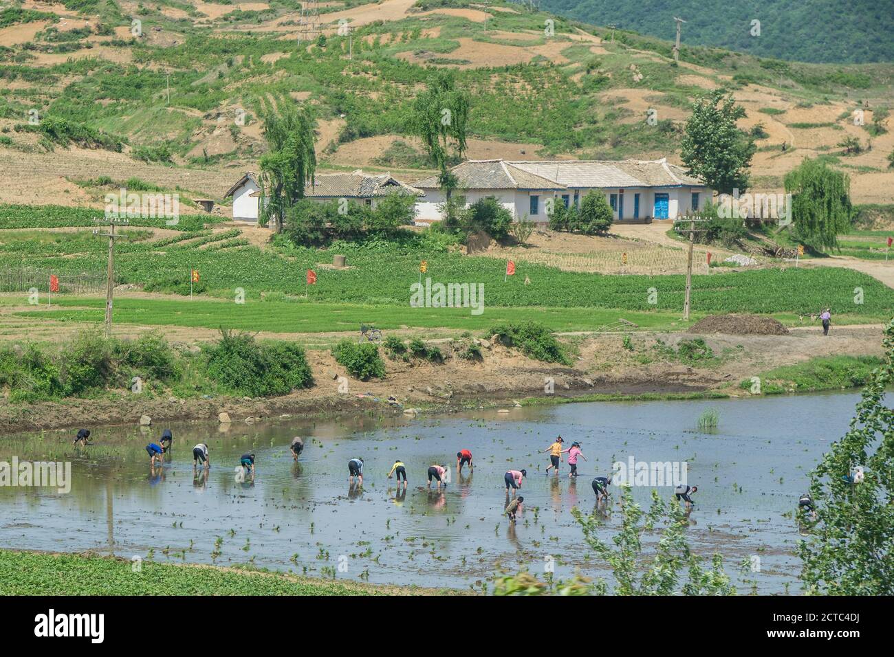 China train rice fields hi-res stock photography and images - Alamy