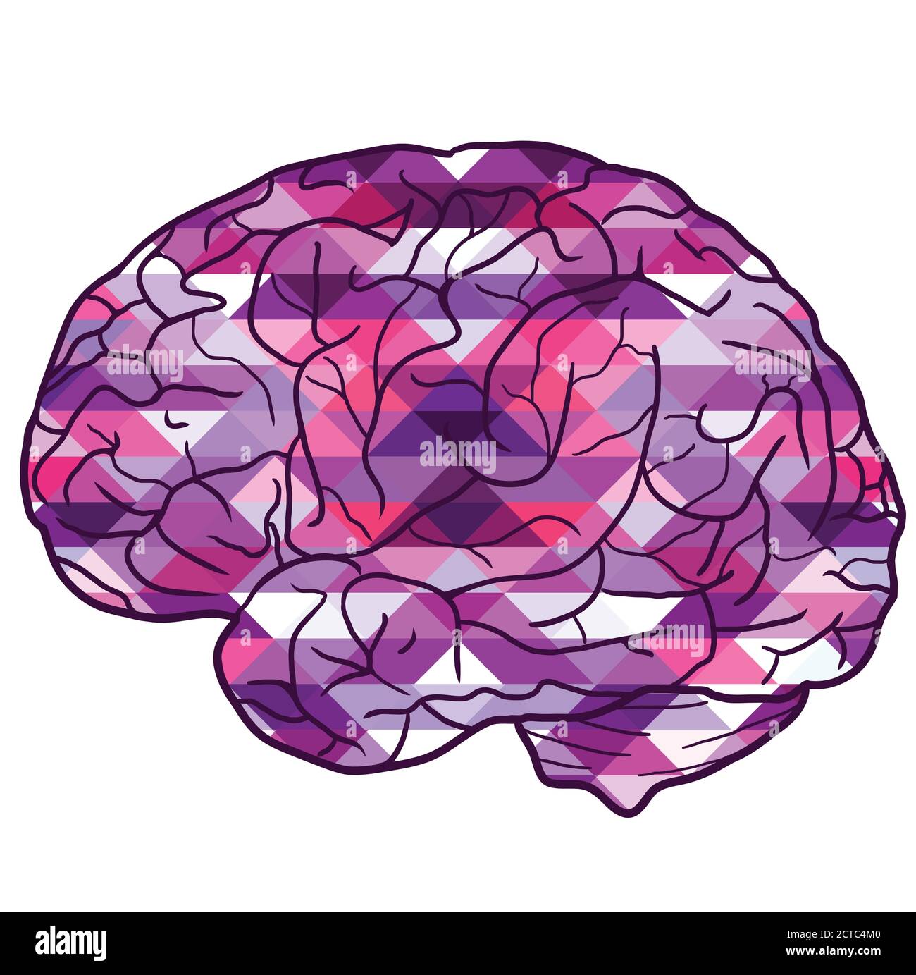 Anatomy brain side view Stock Vector Images - Alamy