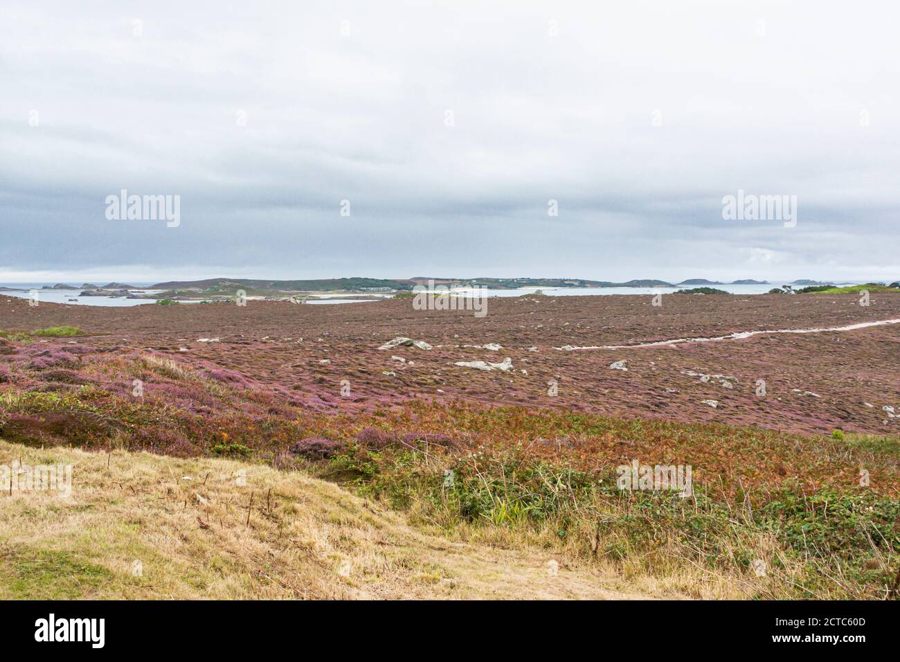 Eastern heath hi-res stock photography and images - Alamy
