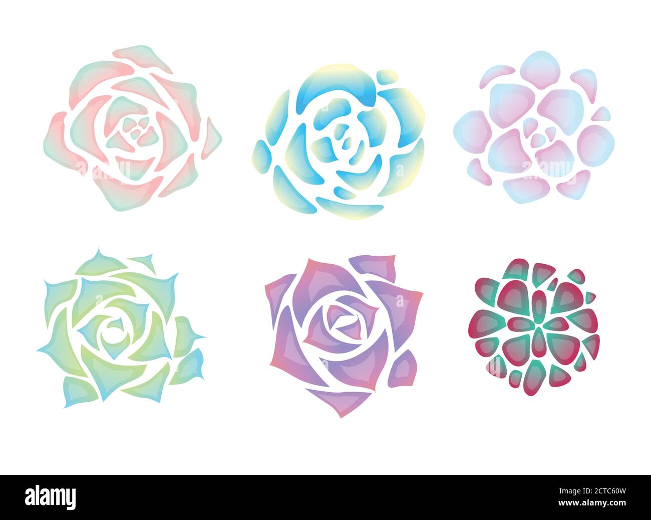 set of simple neon succulents with glare. View from above. Objects ...