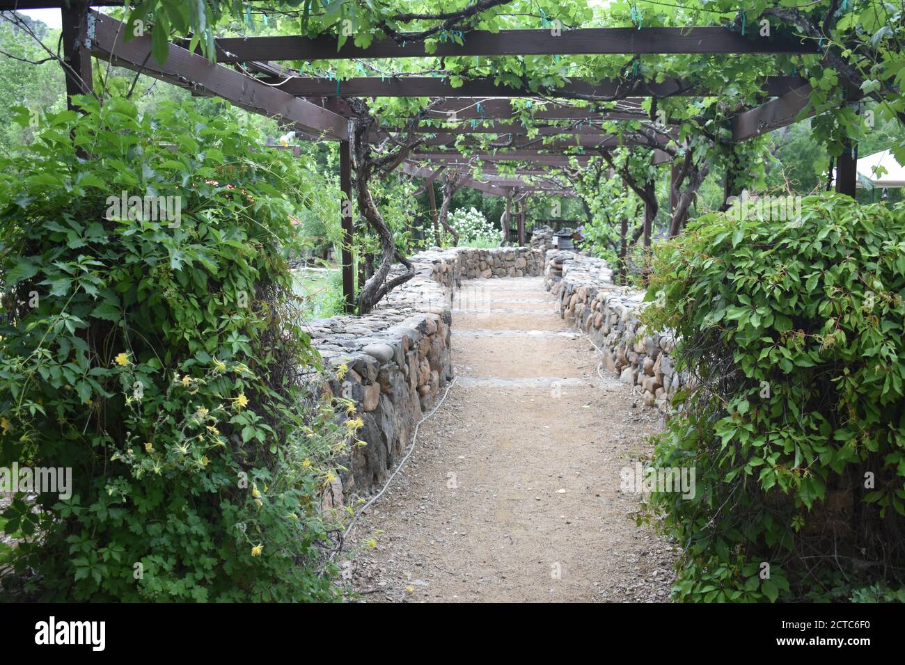 Beautiful view of a narrow path surrounded by trees Stock Photo - Alamy