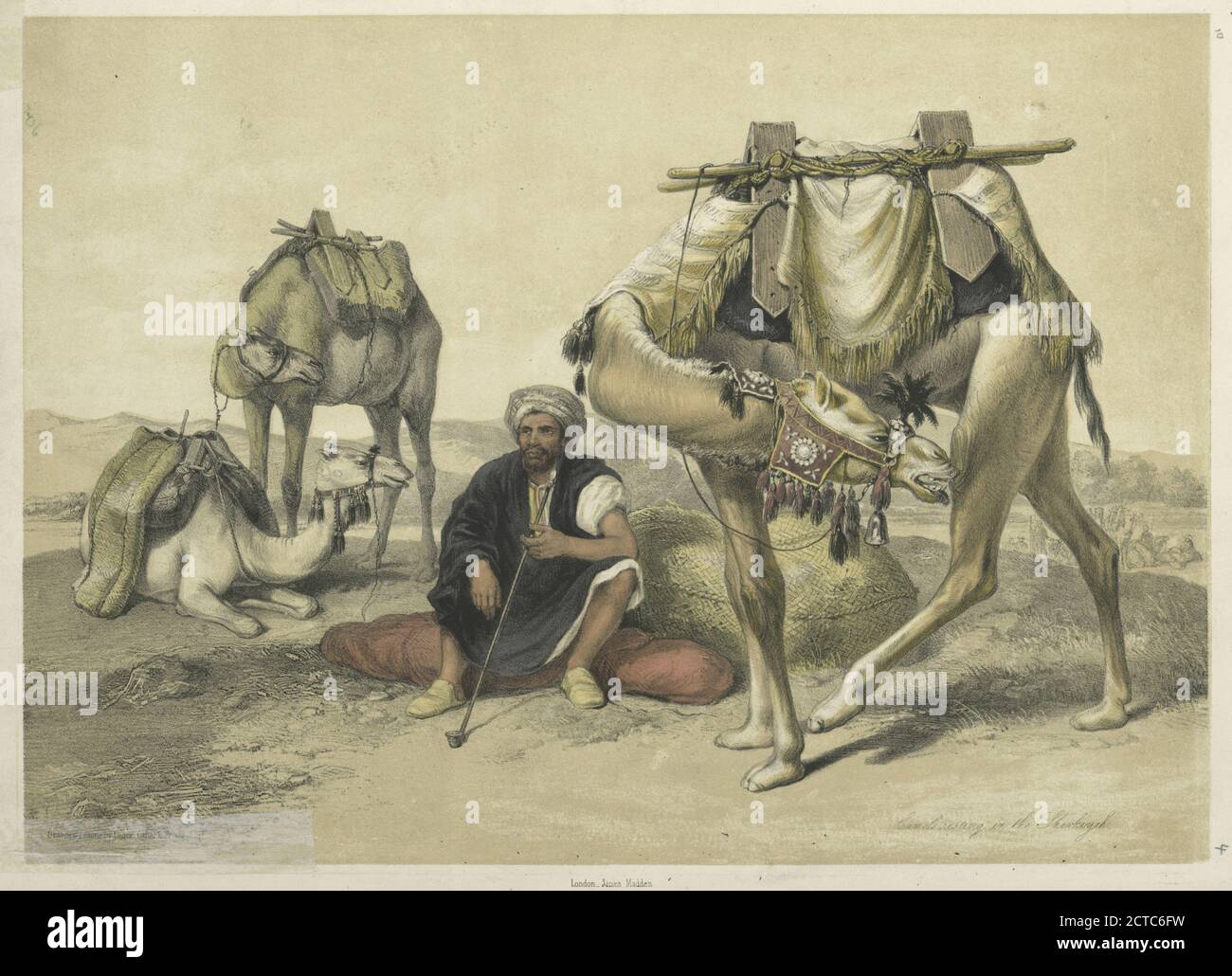 James augustus hi-res stock photography and images - Alamy