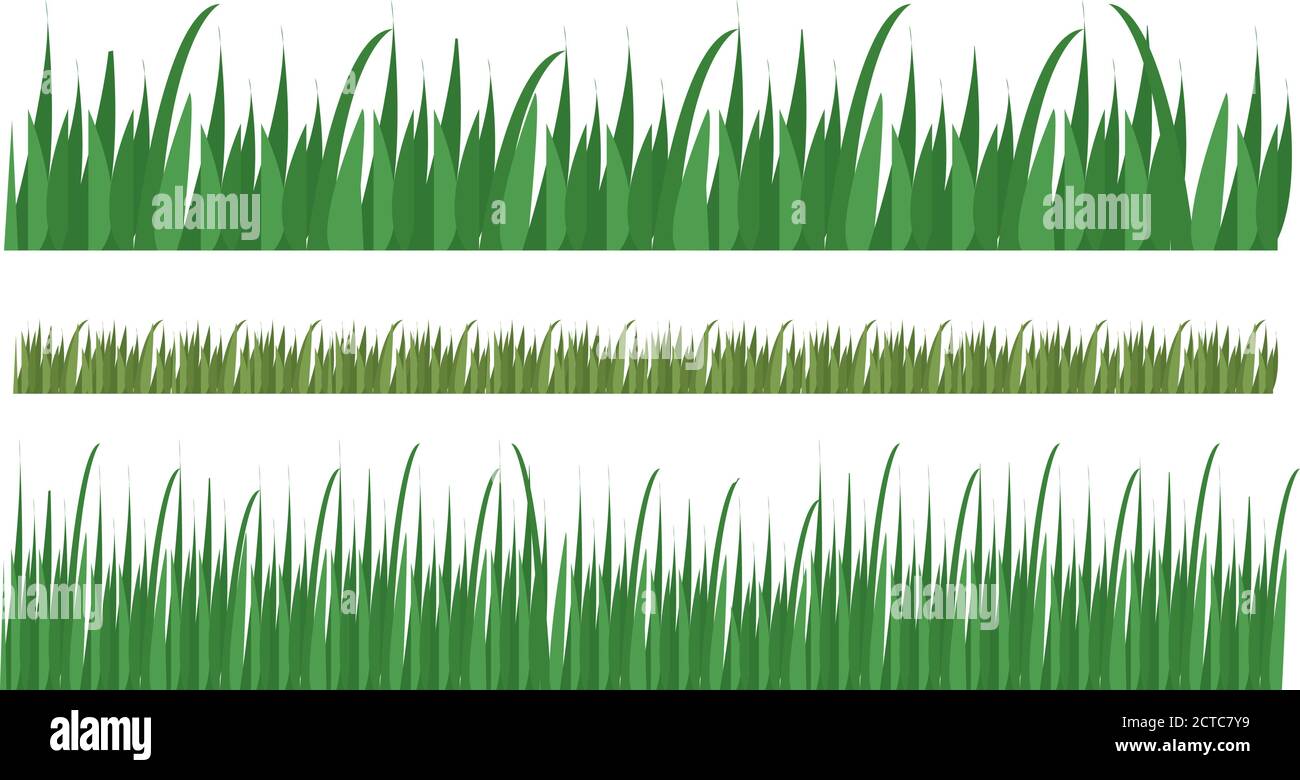 Long grass plant Stock Vector Images - Alamy