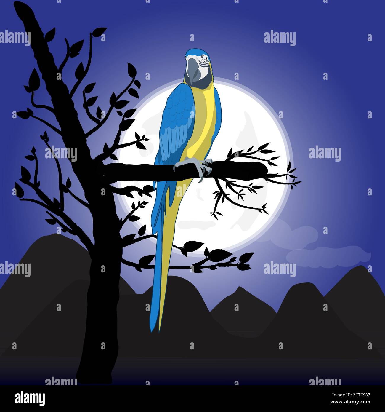 Bird Macaw standing on branch with moon background an night , vector ...