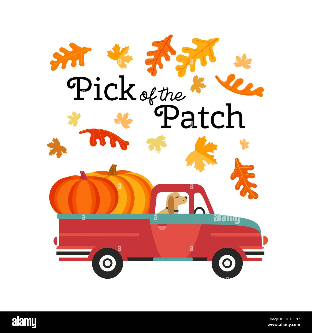 Farm fall festival pumpkins Cut Out Stock Images & Pictures - Alamy