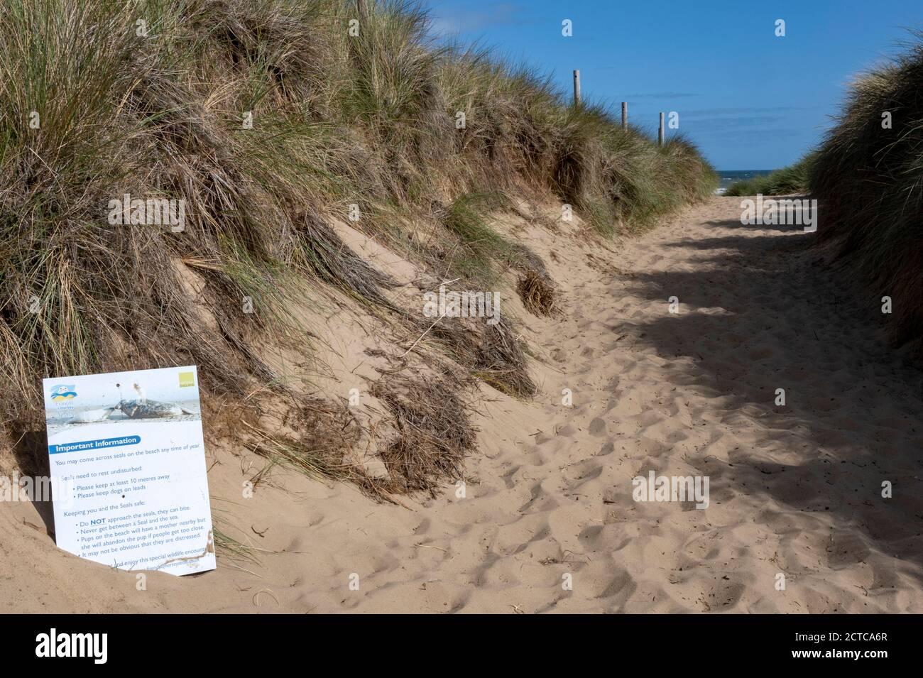 Winterton dunes seals hi-res stock photography and images - Alamy