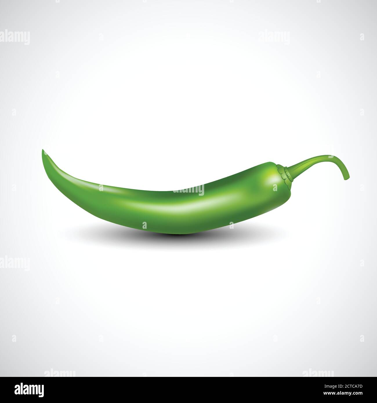 fresh green chilly isolated white background. vector illustration Stock ...