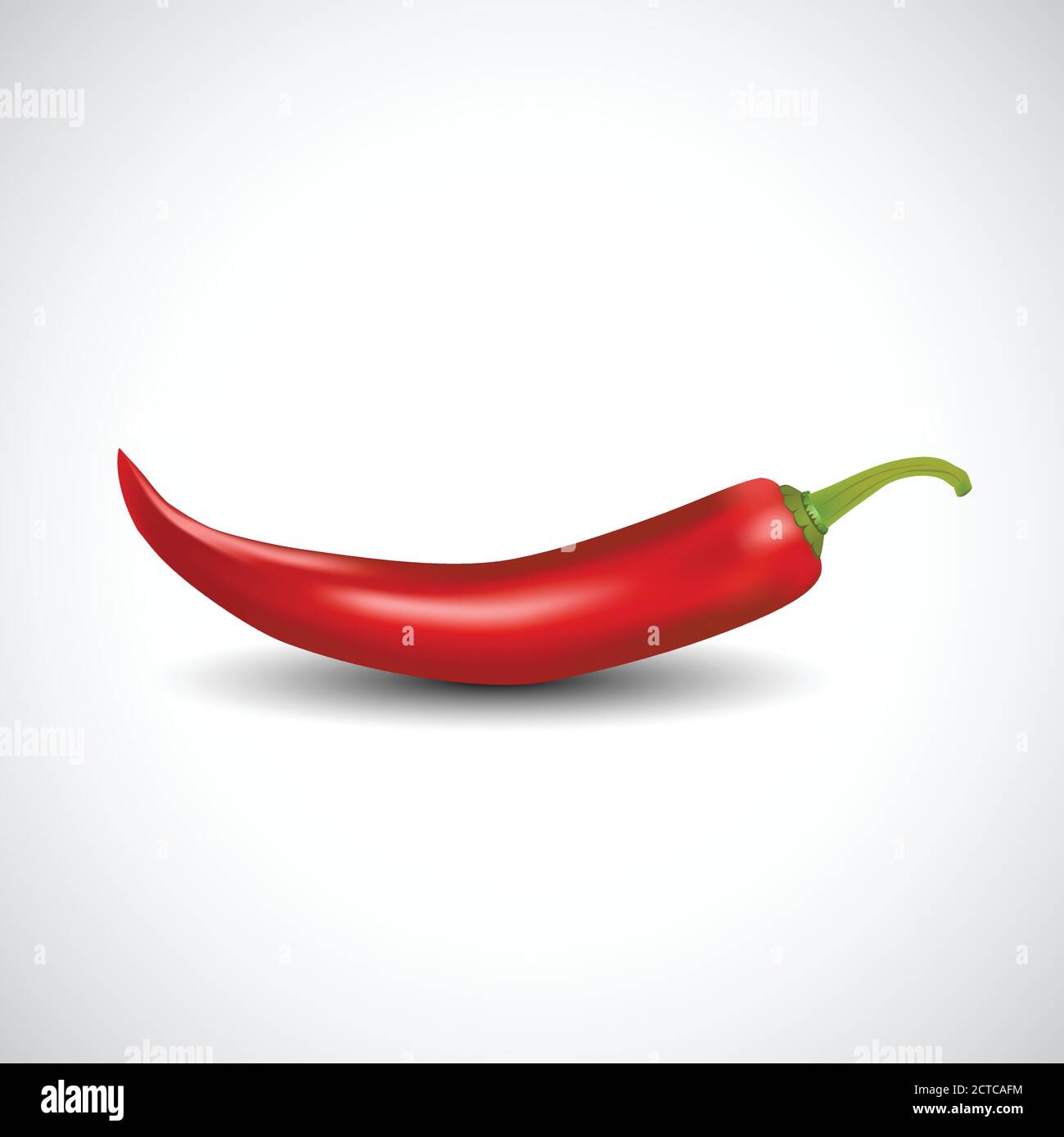 fresh red chilly isolated white background. vector illustration Stock ...