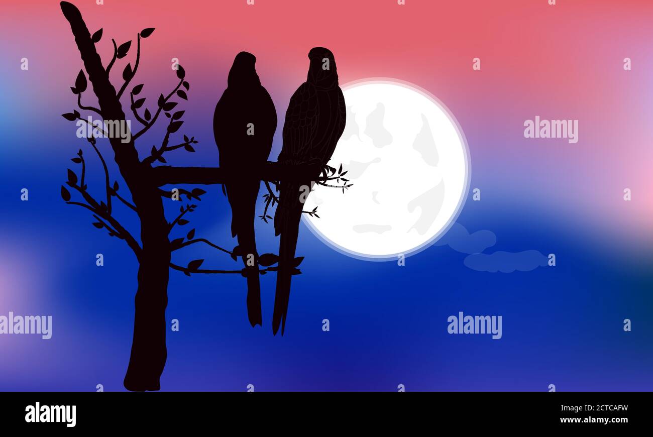Two Bird Silhouette Macaw standing on branch with moon background an ...