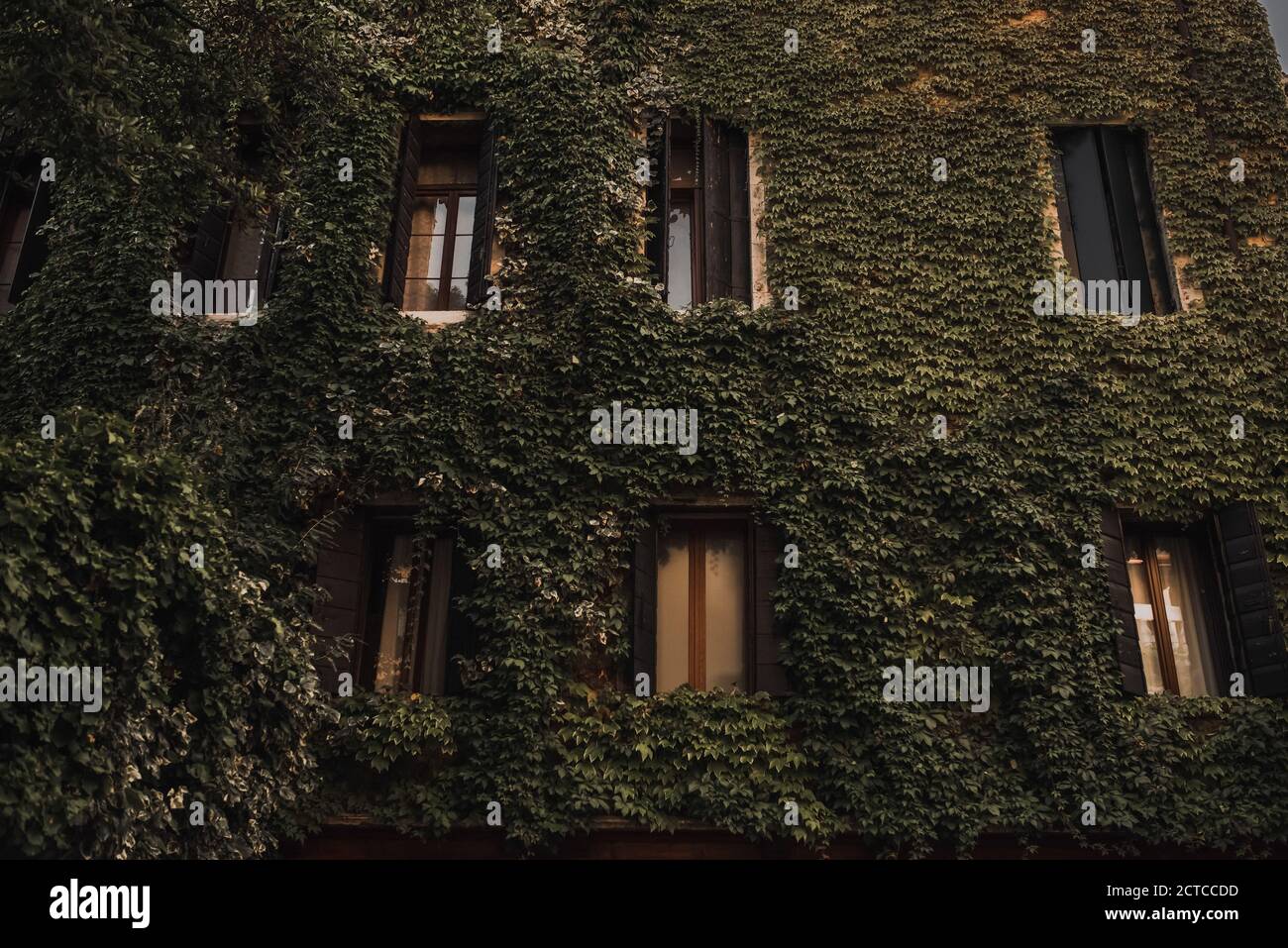 The building is completely covered with creeping green plants Stock ...