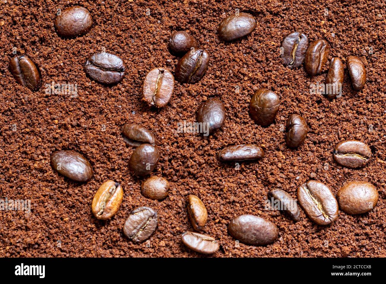 Roasted grains of arabica coffee on ground coffee close-up on a brown ...