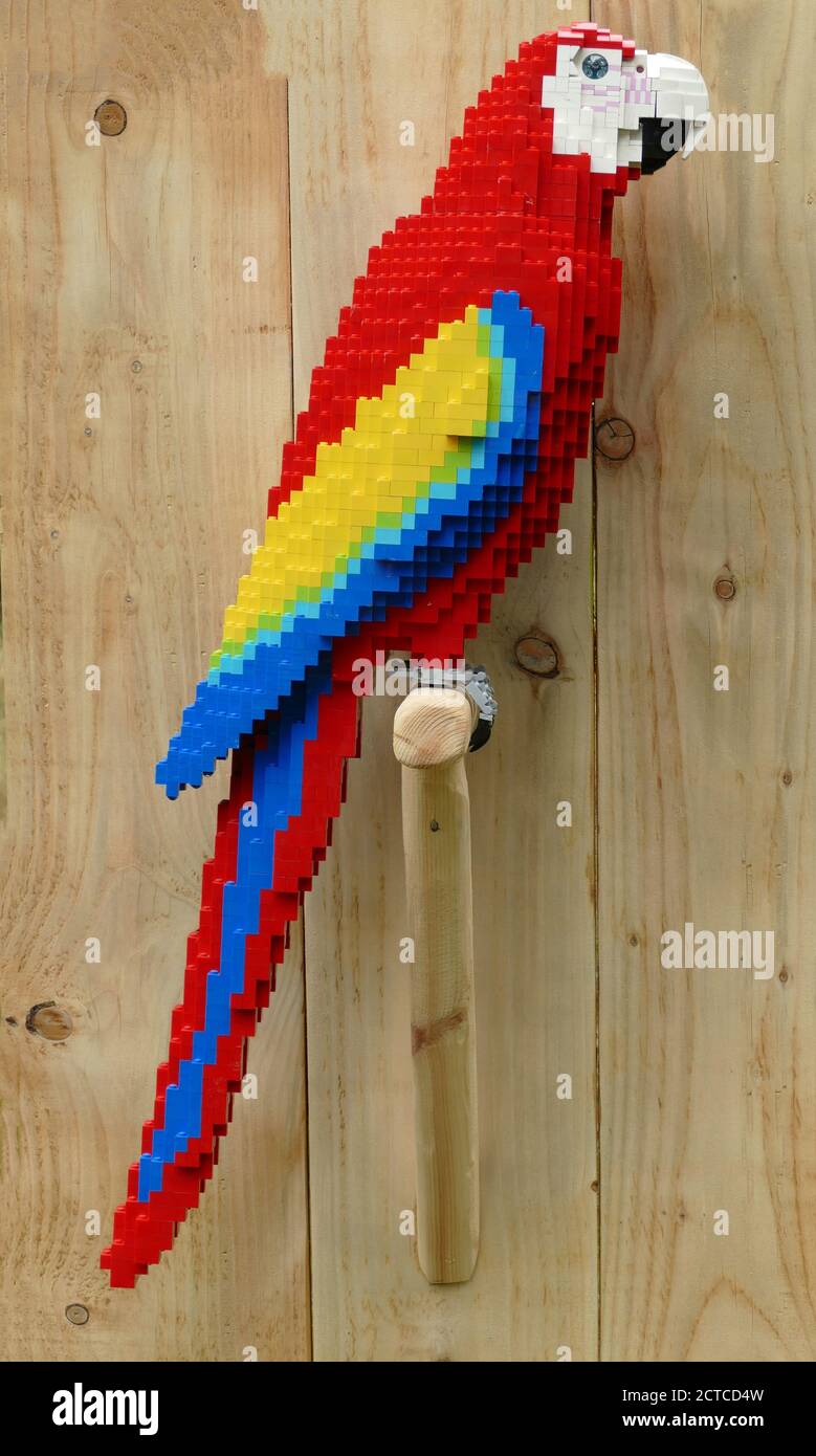 Parrot made of lego hi-res stock photography and images - Alamy