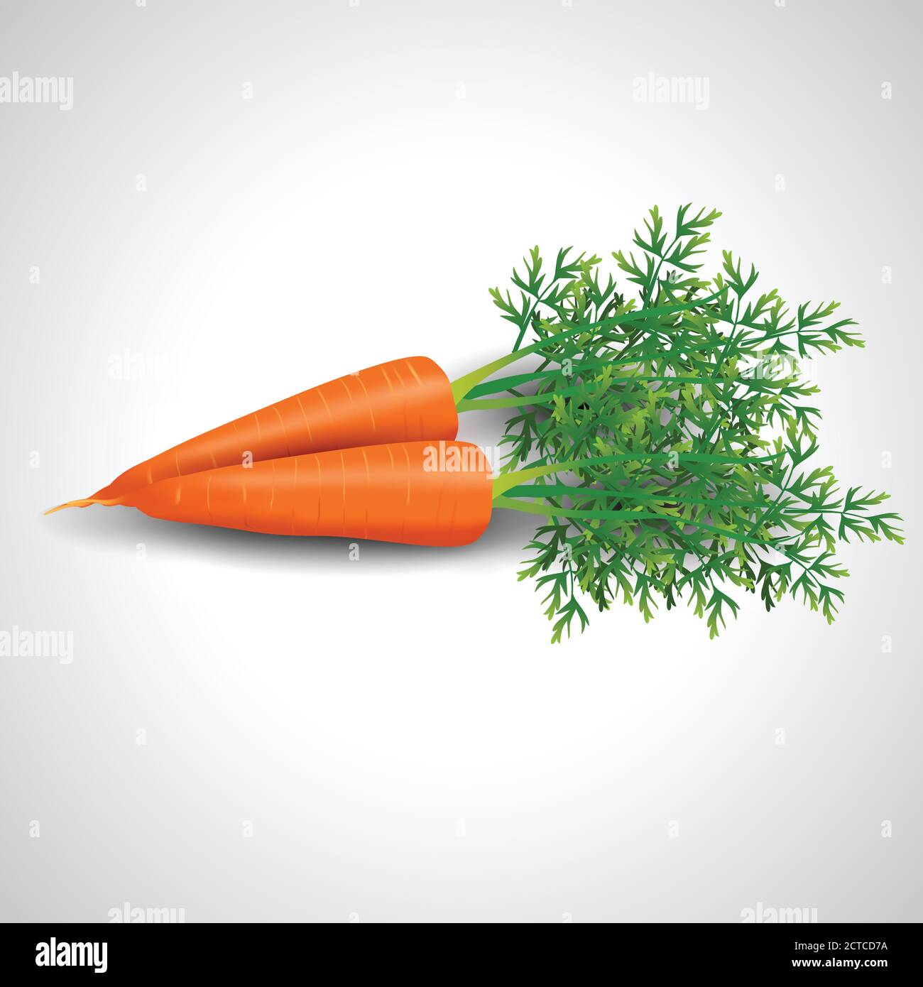 Carot top Stock Vector Images - Alamy