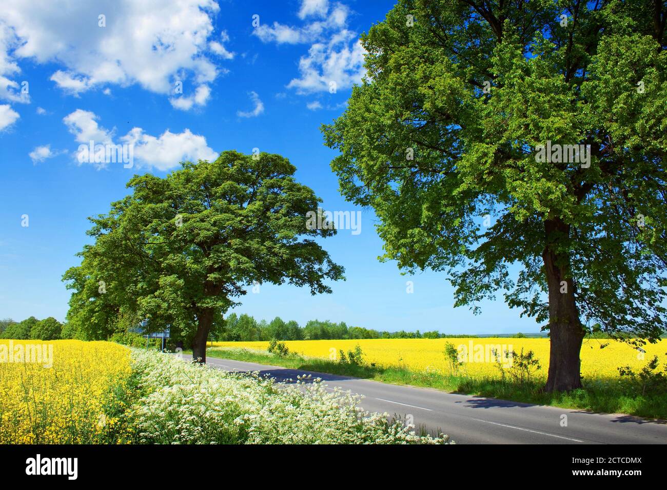 Beautiful summer landscape Stock Photo - Alamy