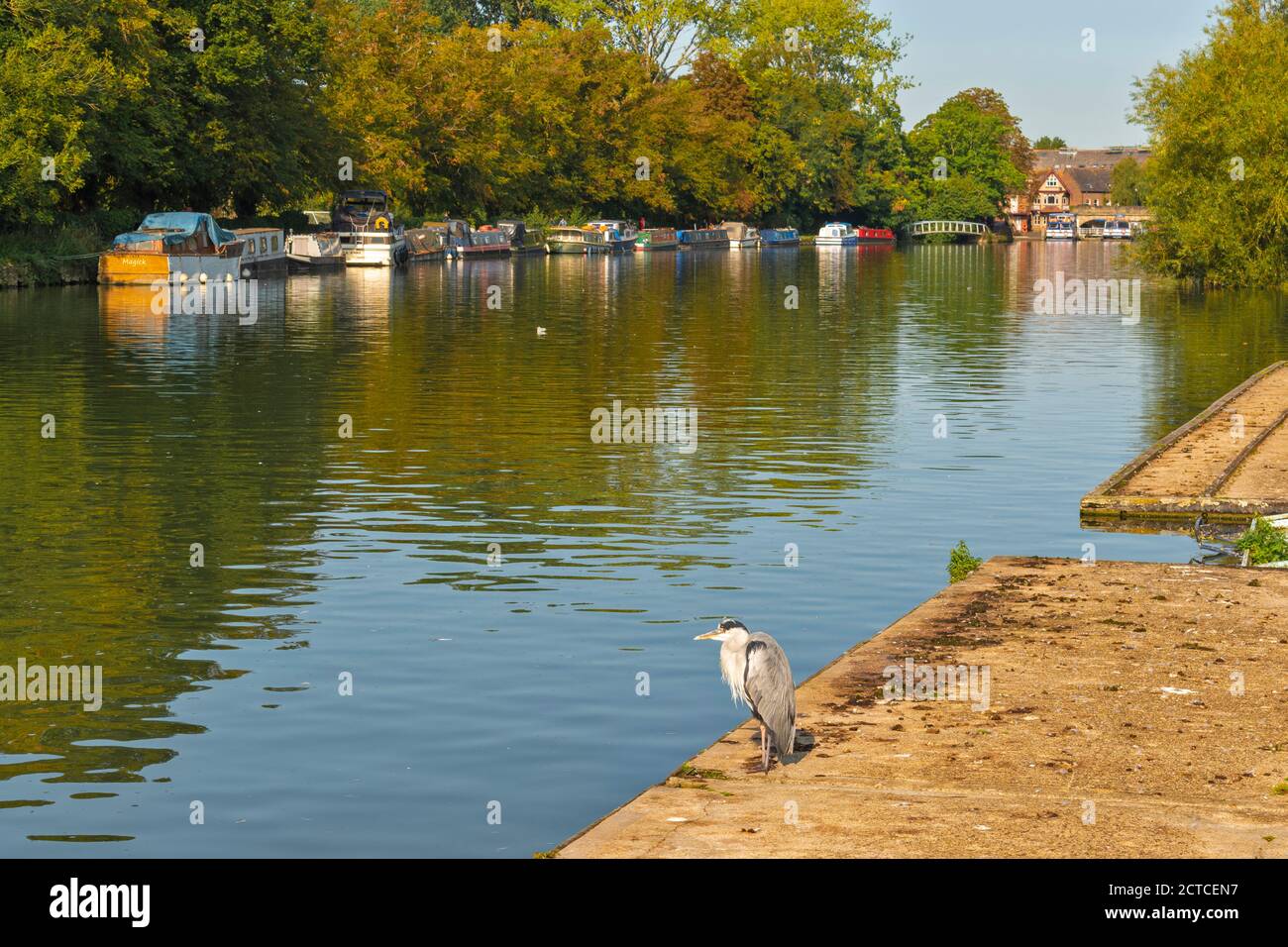 OXFORD CITY ENGLAND CHRIST CHURCH MEADOW WALK RIVER THAMES CANAL OR ...