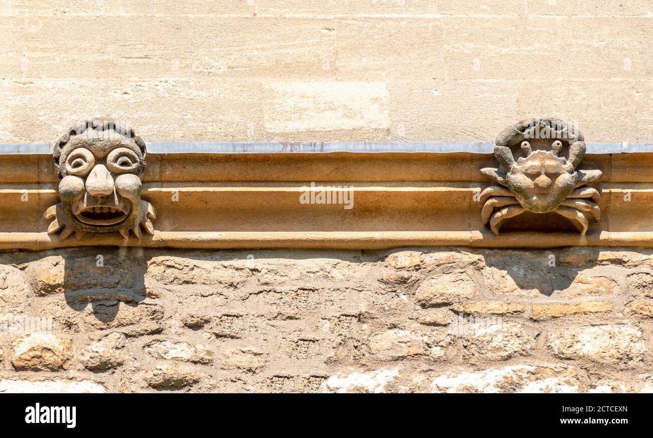 New college gargoyle oxford hi-res stock photography and images - Alamy