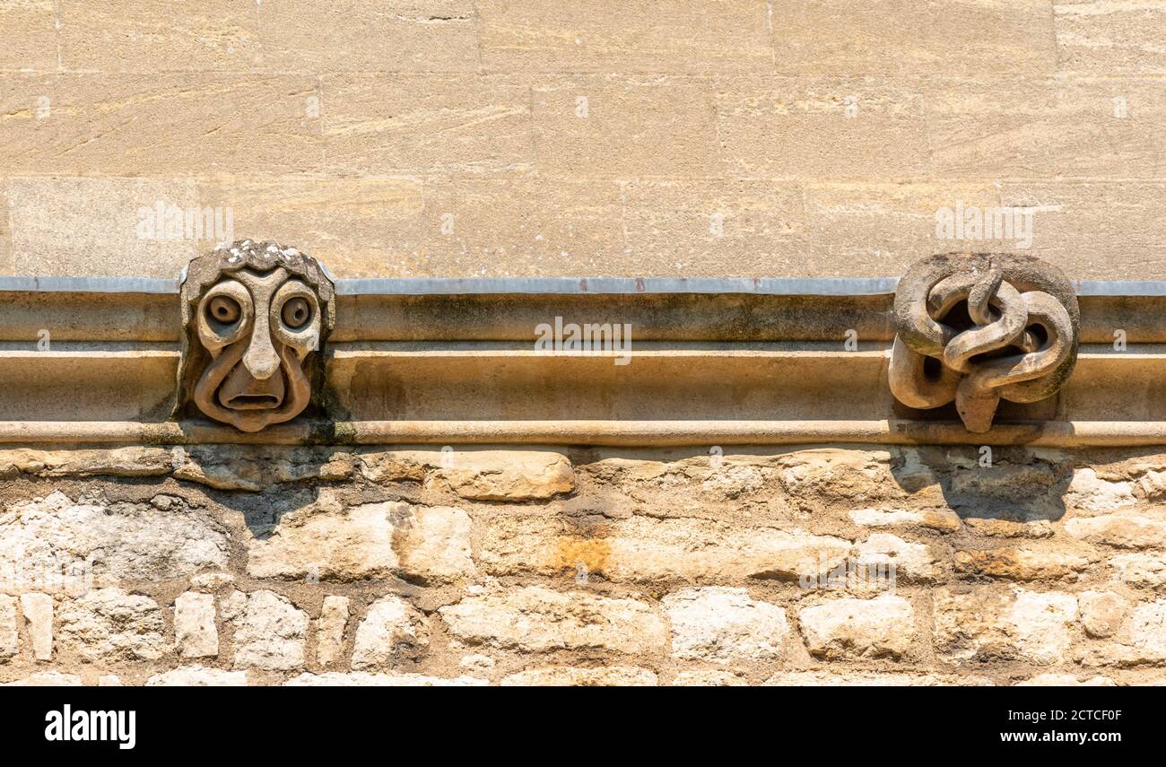 New college gargoyle oxford High Resolution Stock Photography and ...