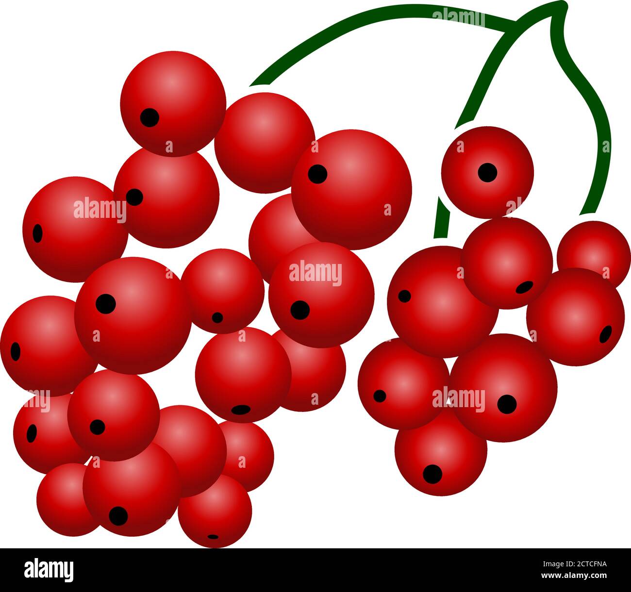 Icon Of Black Currant In Ui Colors. Flat Color Design. Vector ...