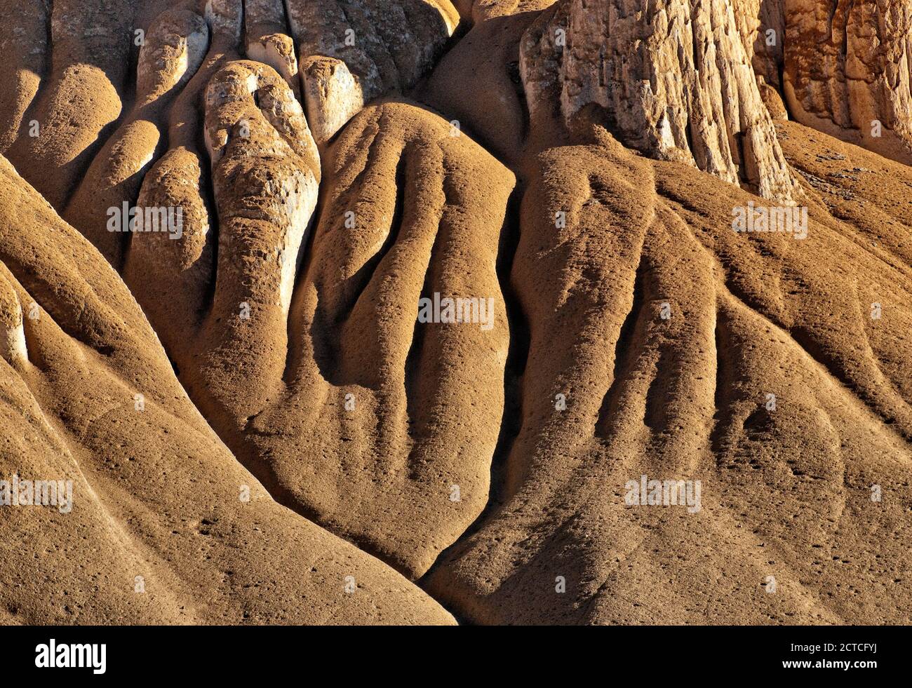 Hoodoos at Wheeler Geologic Area in San Juan Mountains, Colorado, USA ...