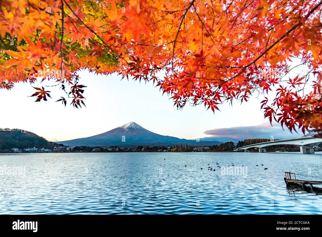 Colorful Autumn in Mount Fuji, Japan - Lake Kawaguchiko is one of the ...
