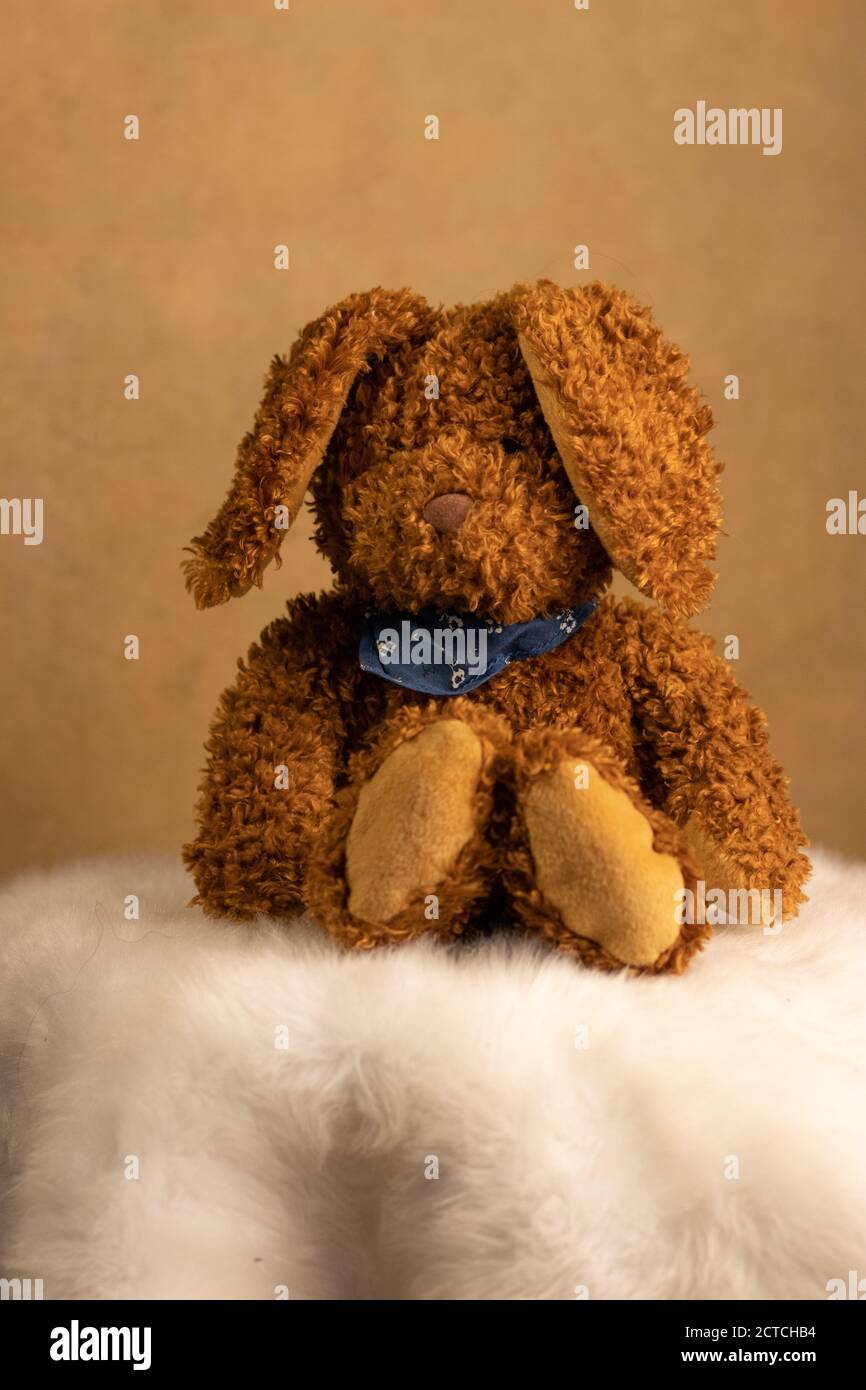 Soft bunny hi-res stock photography and images - Alamy