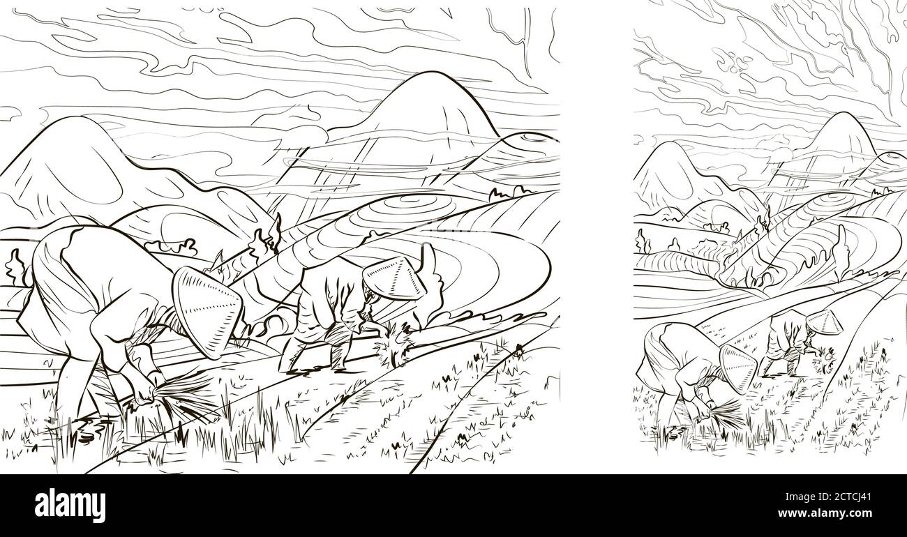 Harvesting rice Black and White Stock Photos & Images - Alamy