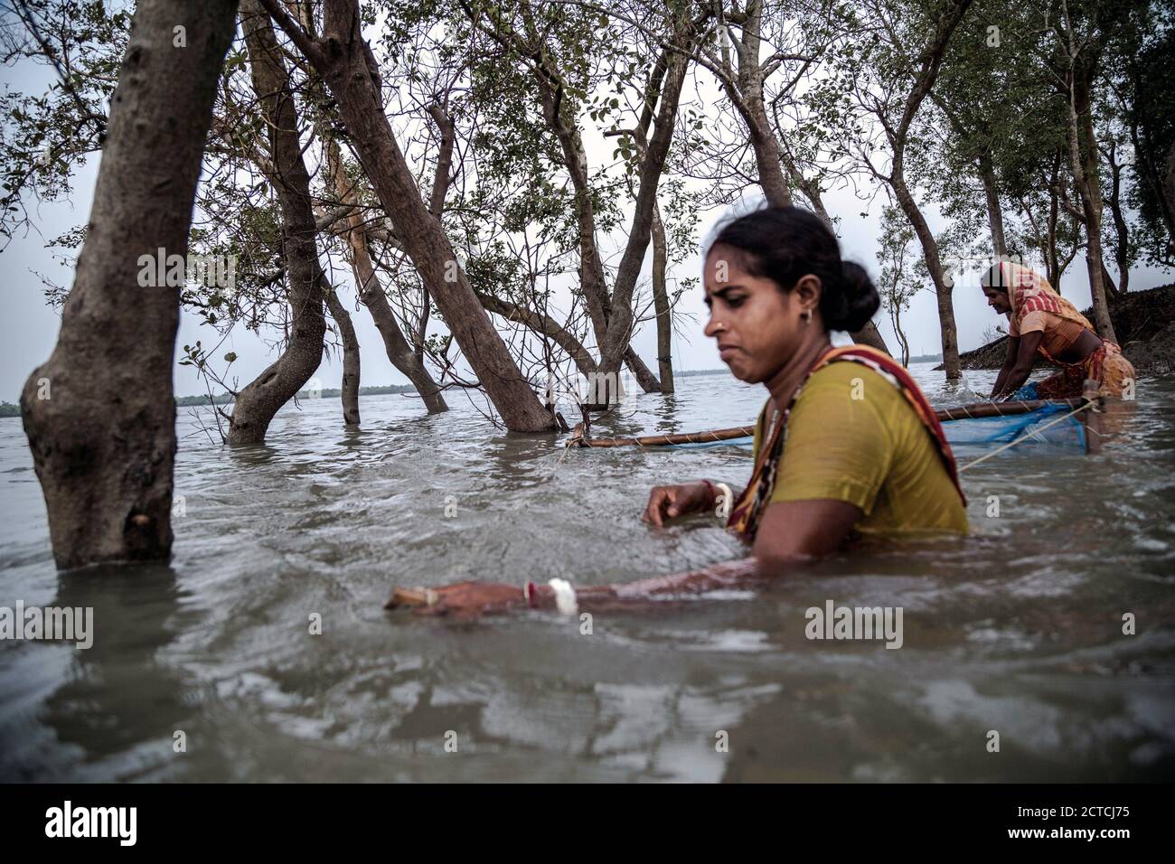 Ganga And Brahmaputra Delta
