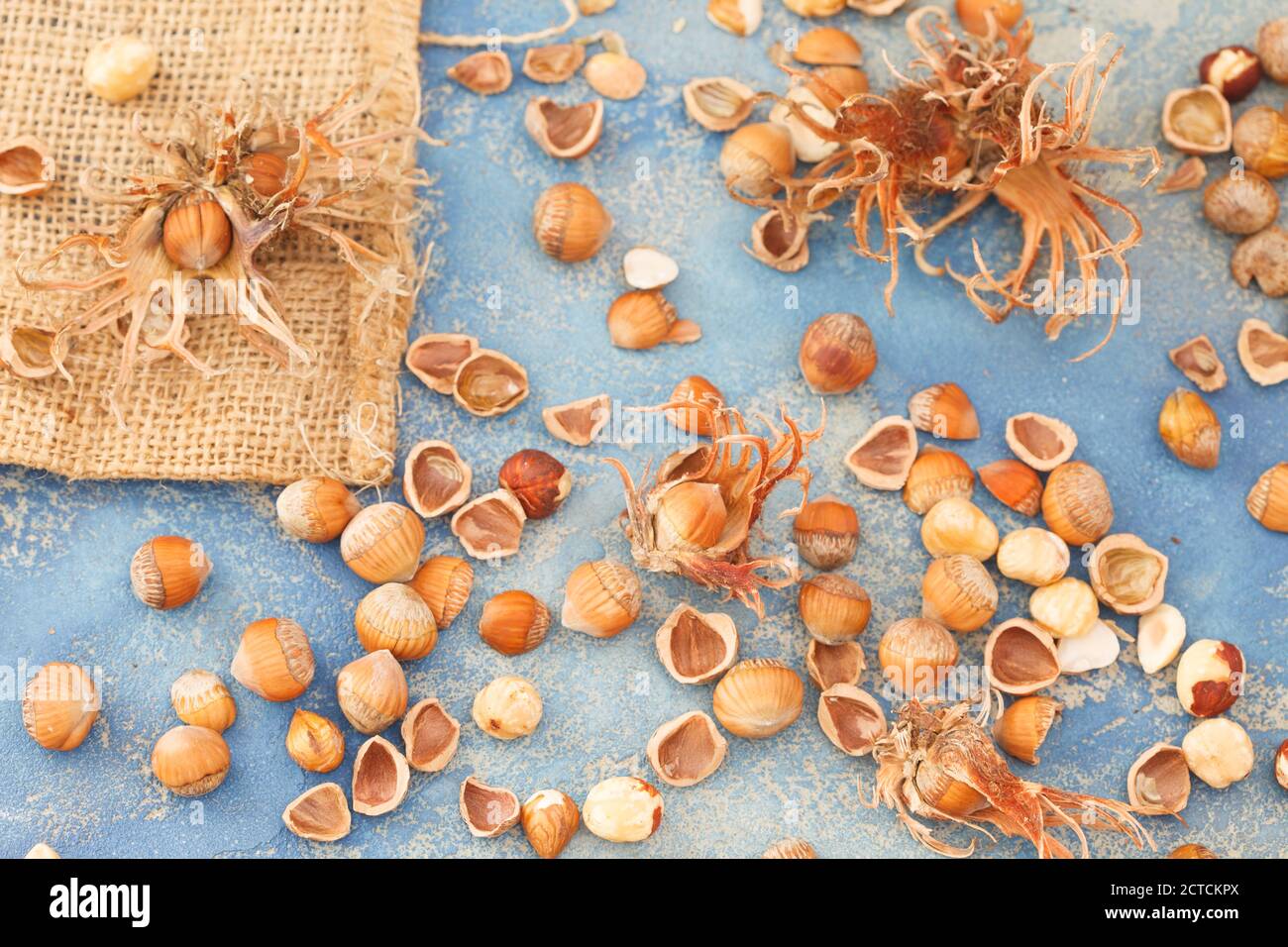 Organic hazelnuts with broken hazel shells on rustic blue background ...