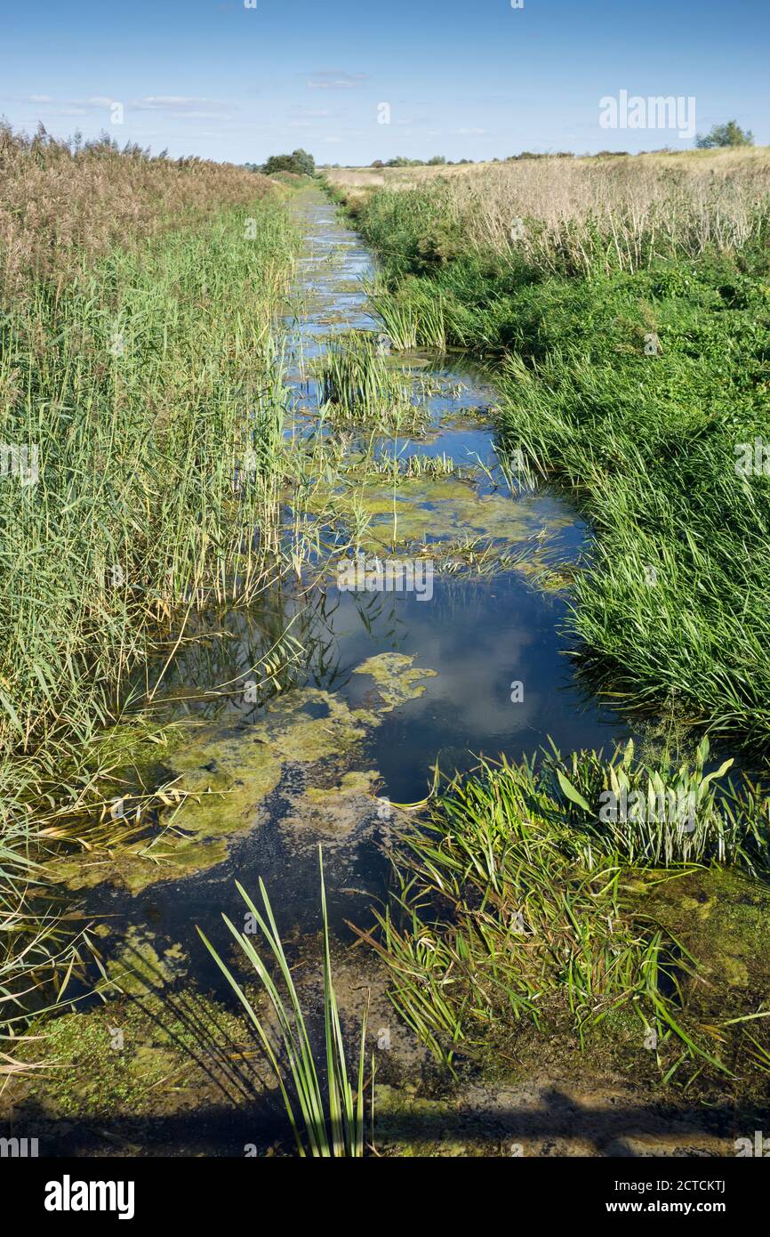 Land drainage ditch Lincolnshire Stock Photo - Alamy
