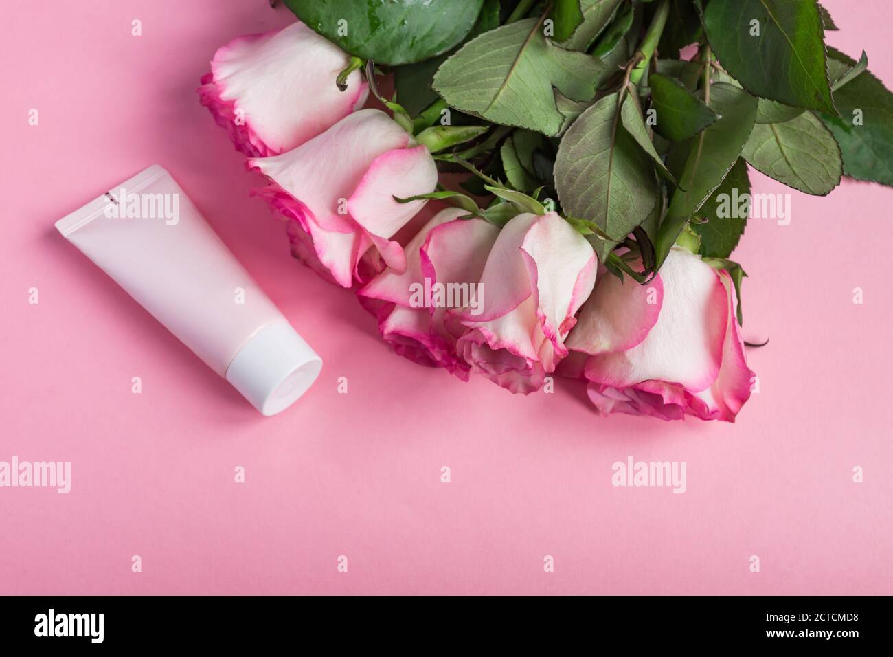 Pink blooming roses and face cream on pastel pink background. Romantic ...