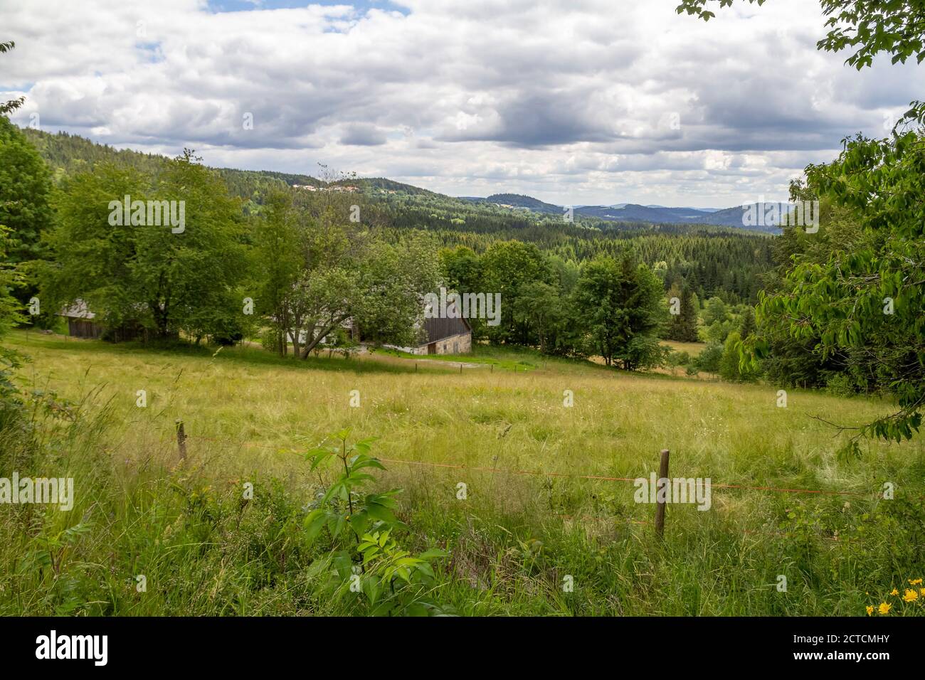 Idyllic scenery around the Bavarian Forest at early summer time Stock ...