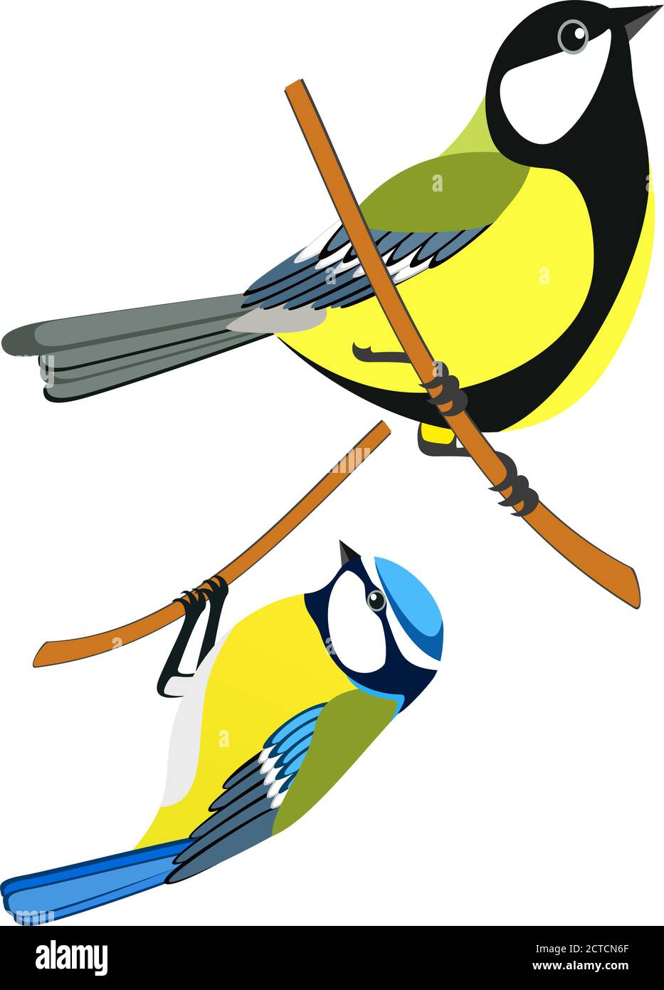 vector Great tit and Blue tit Stock Vector Image & Art - Alamy