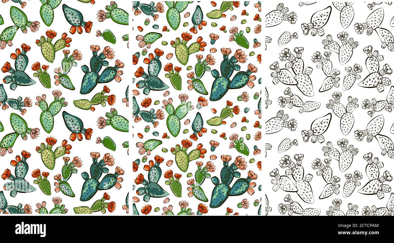 Cactus hand drawn vector seamless pattern. Creative texture Doodle ...