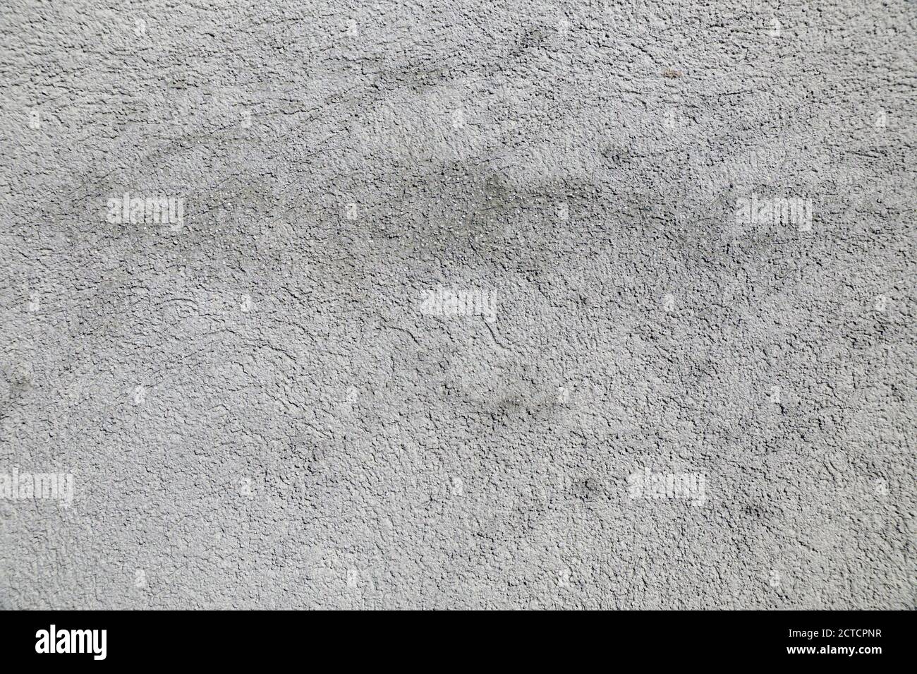 The wall is plastered with gray, coarse plaster Stock Photo - Alamy