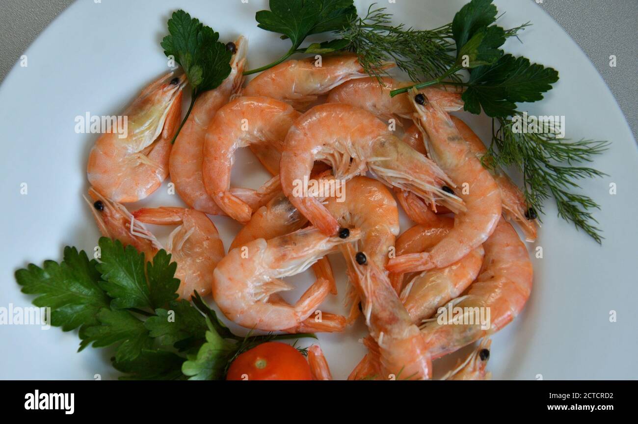 Prawns (Latin. Caridea) - recipes of culinary dishes with shrimp are ...