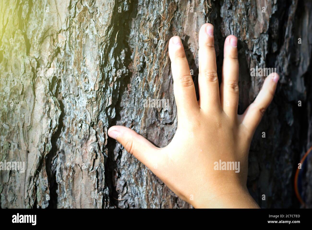 Touching tree hi-res stock photography and images - Alamy