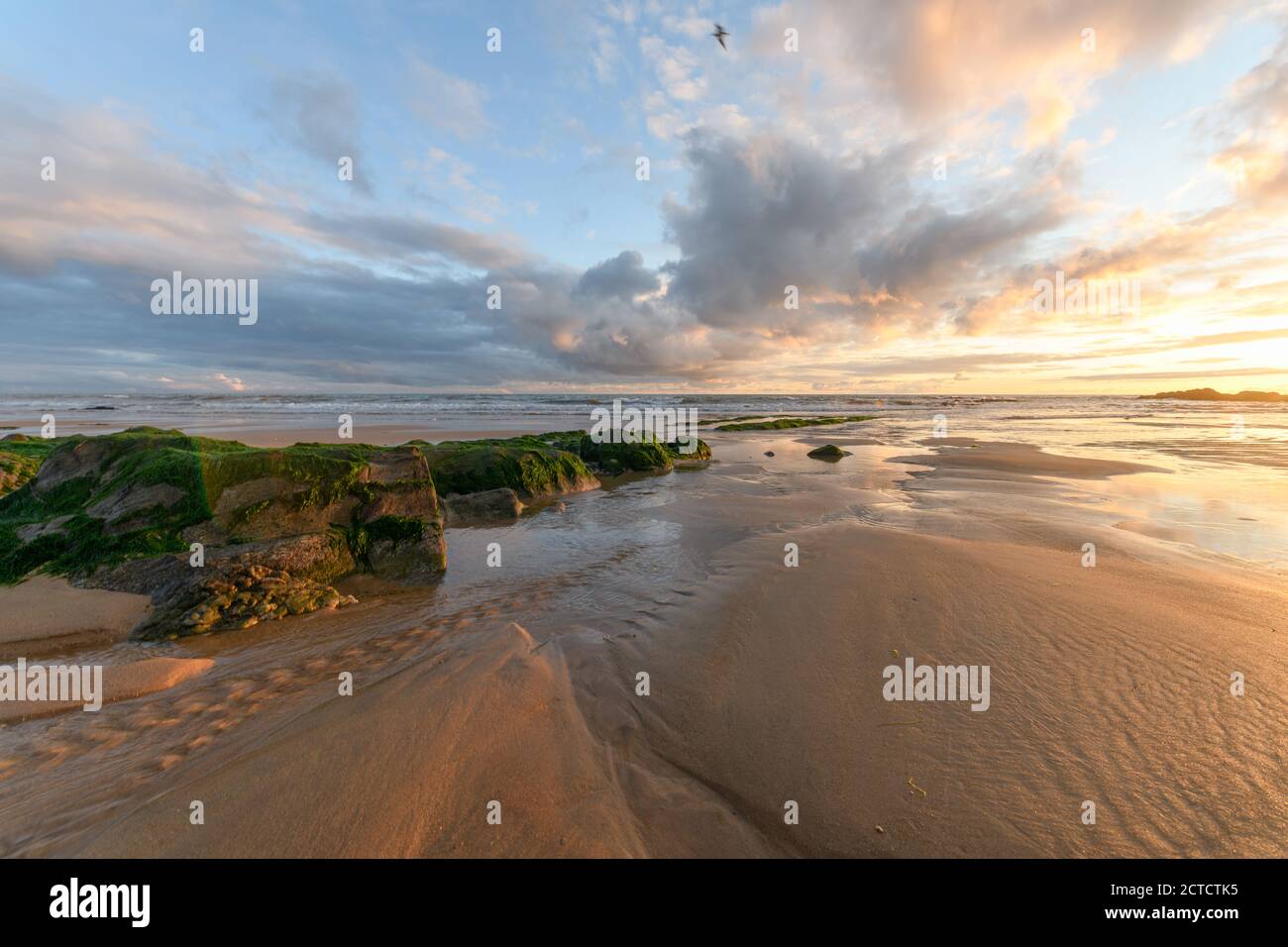 Sunset at the atlantic Ocean with orange beach and sky in France Stock ...