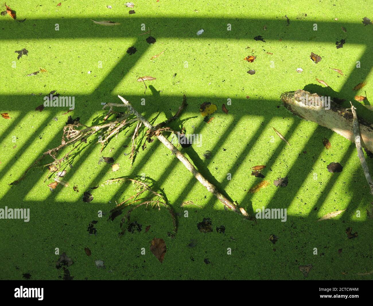 Parallel lines nature hi-res stock photography and images - Alamy