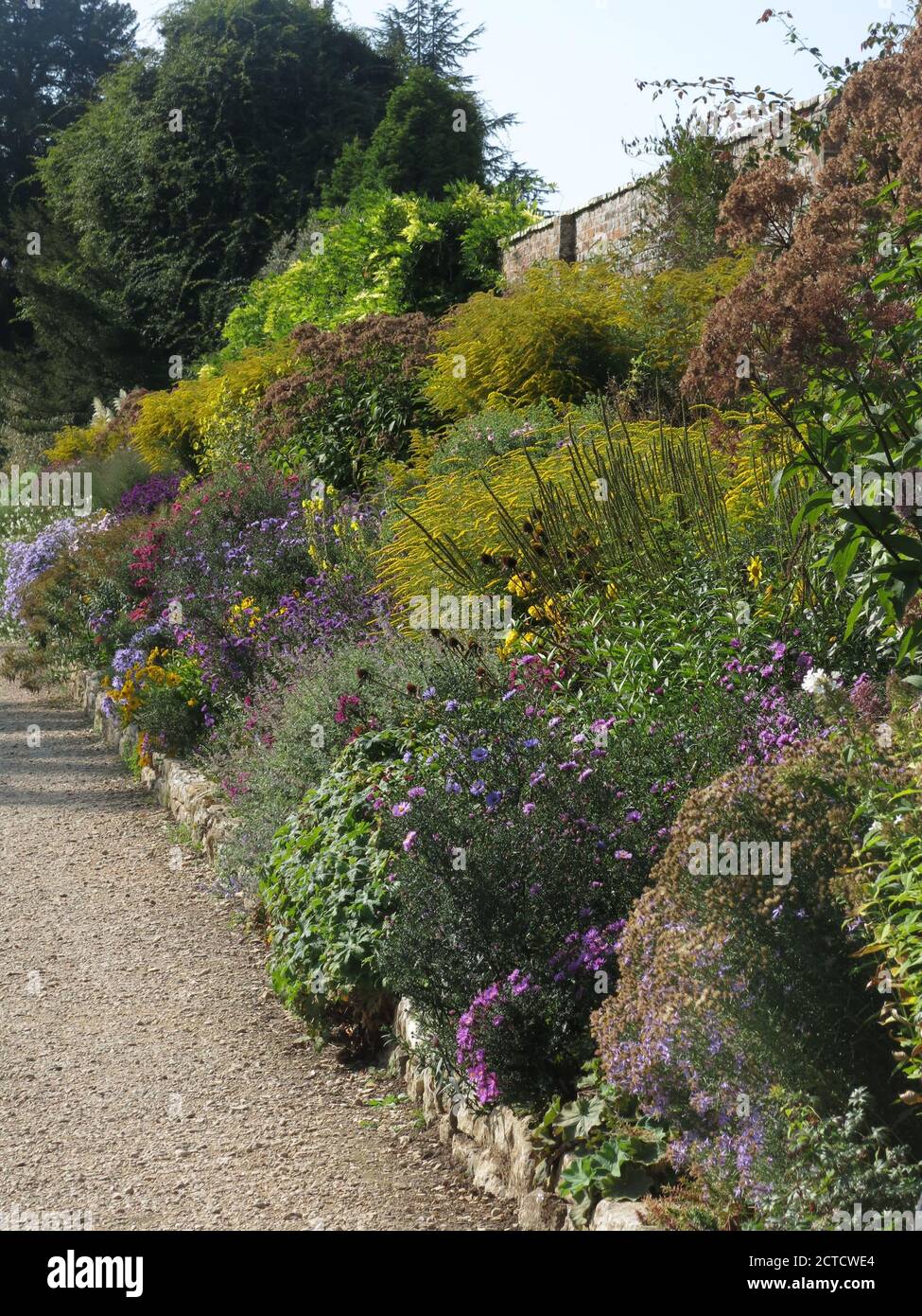 Garden border sedums hi-res stock photography and images - Alamy
