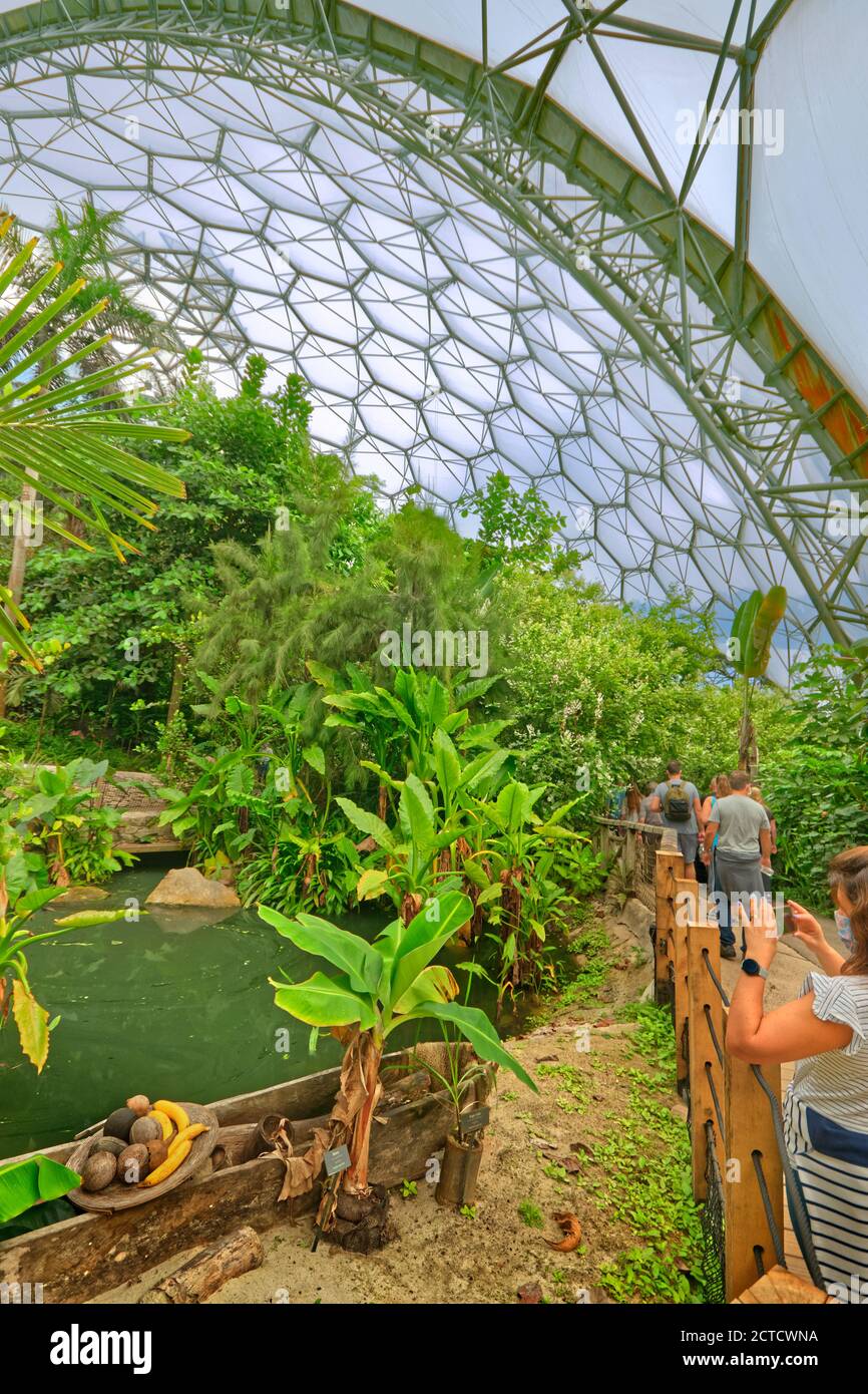 Eden project cornwall interior hi-res stock photography and images - Alamy