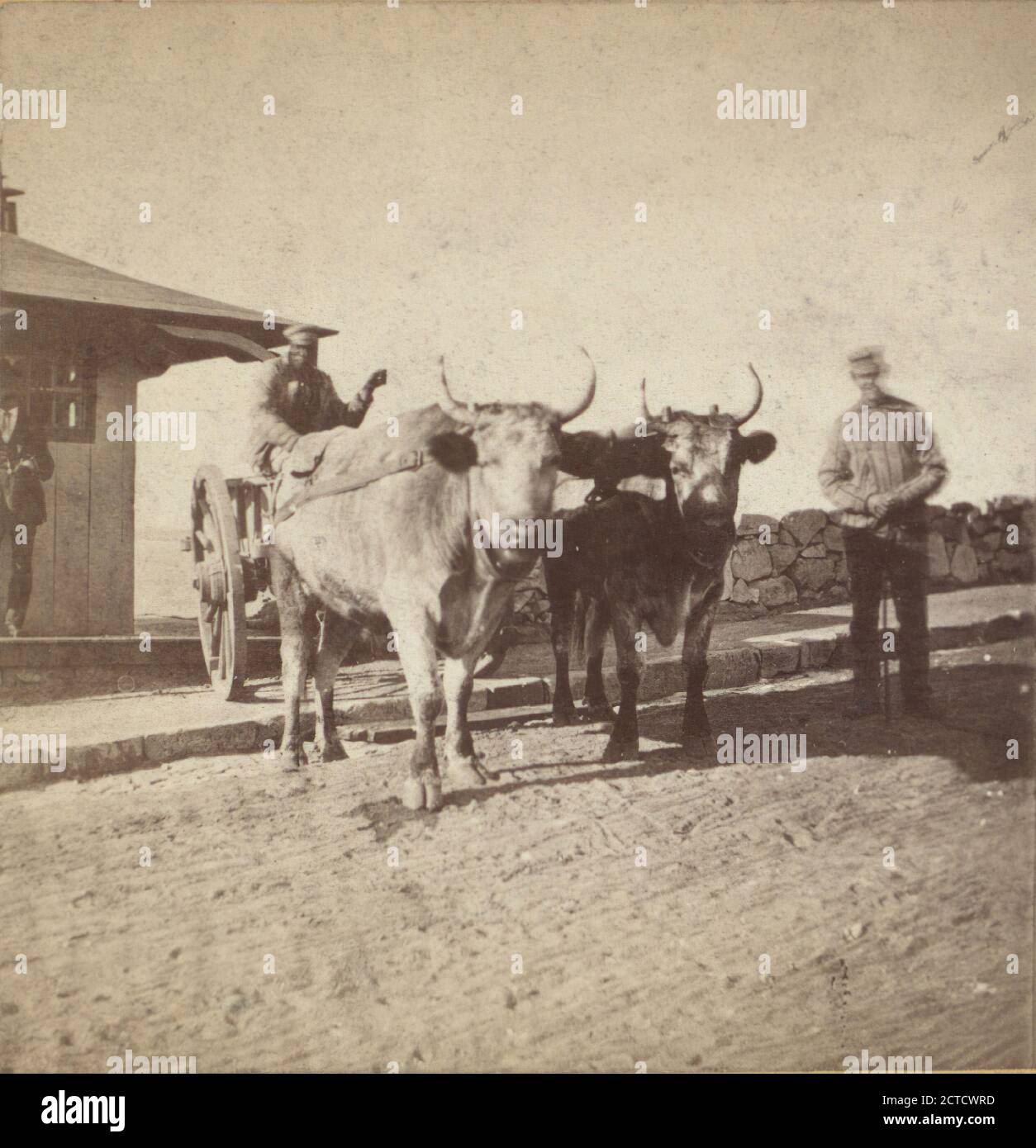 Sing Sing Prison. (Prison cart.), Pach, G. W. (Gustavus W.) (1845-1904 ...