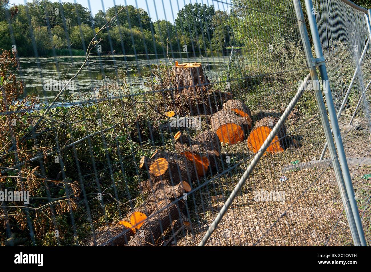 Harefield, Middlesex, UK. 21st September, 2020. Stop HS2 tree ...