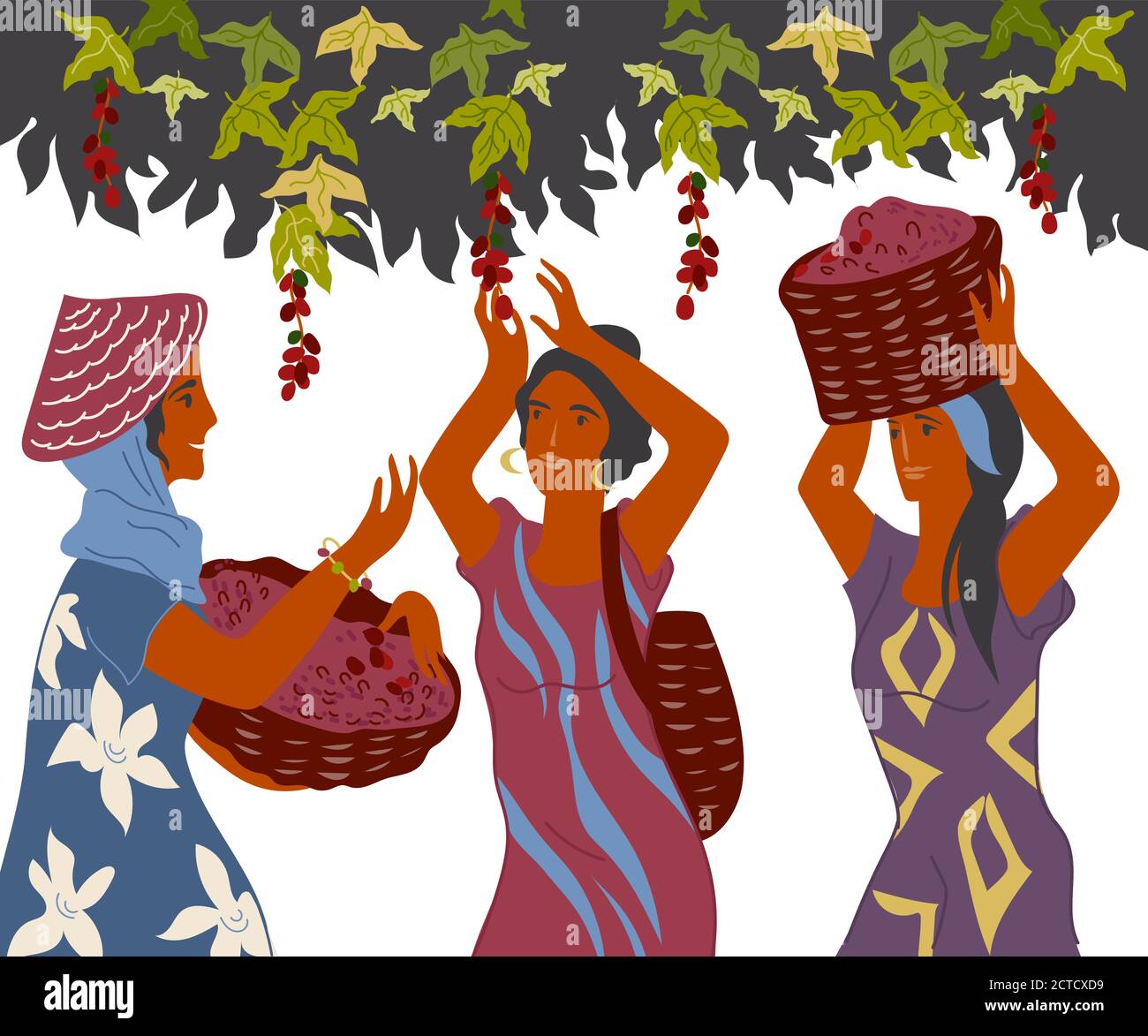 Coffee harvest gatherers in work flat cartoon vector illustration ...