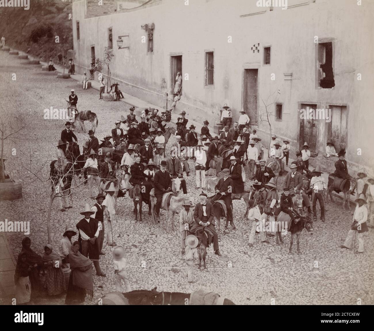 Large group on mules, seen from above, still image, Photographs, 1898 ...
