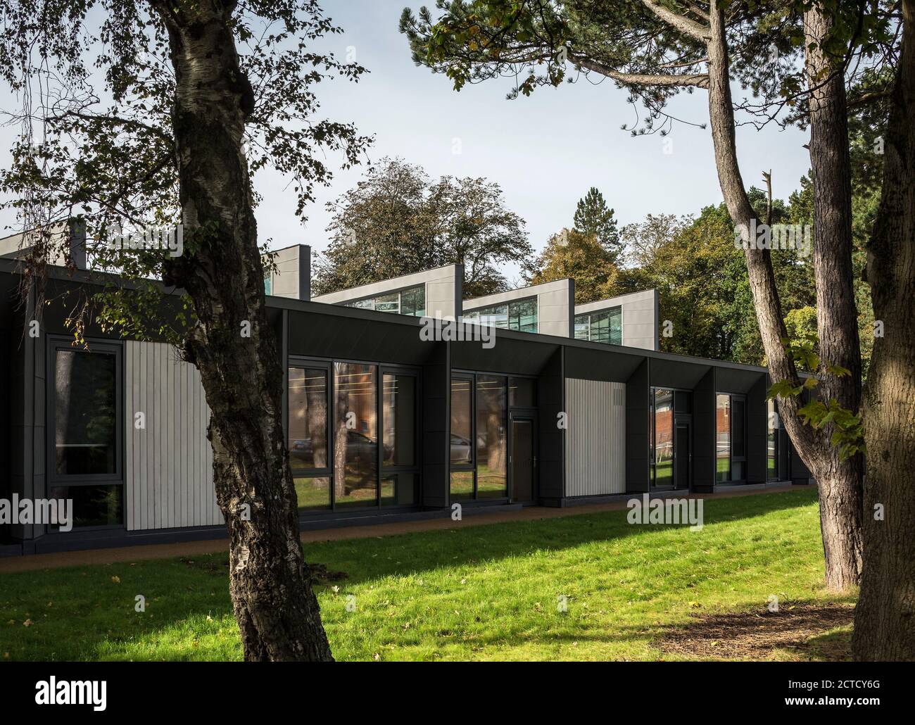 Charity tree hi-res stock photography and images - Alamy