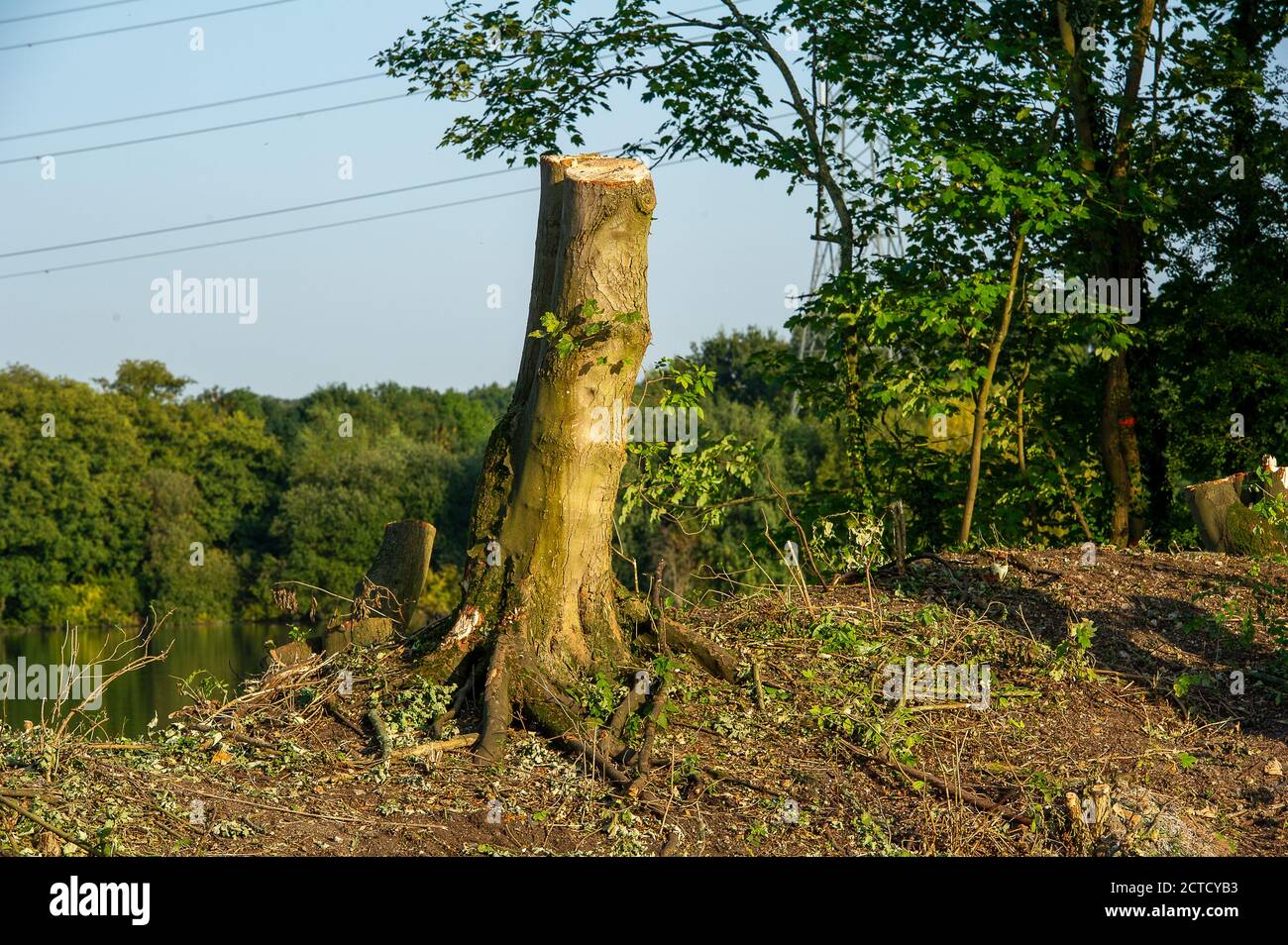 Harefield, Middlesex, UK. 21st September, 2020. Stop HS2 tree ...